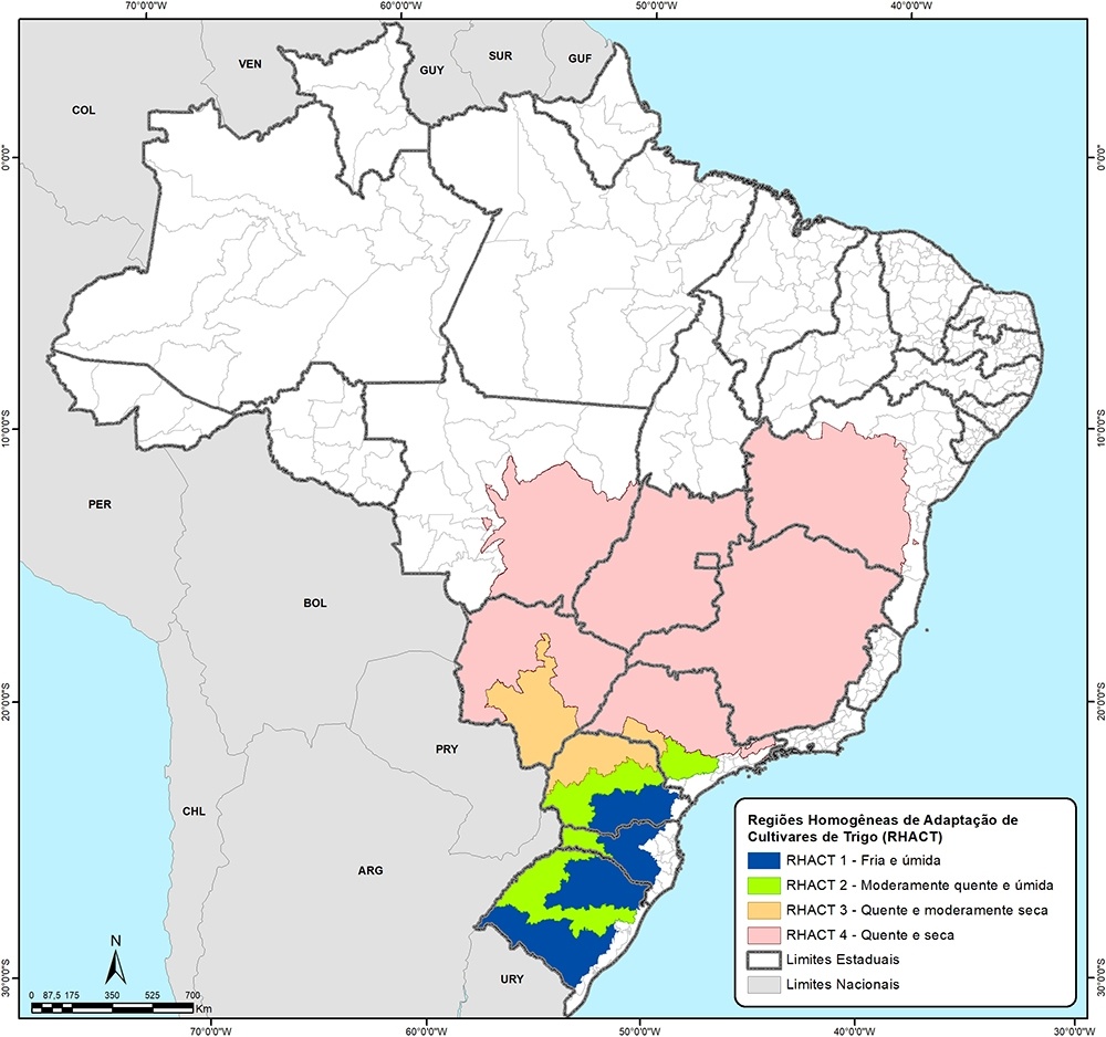 Adoção de boas práticas pode aumentar produção de trigo em 1,5 milhão ...