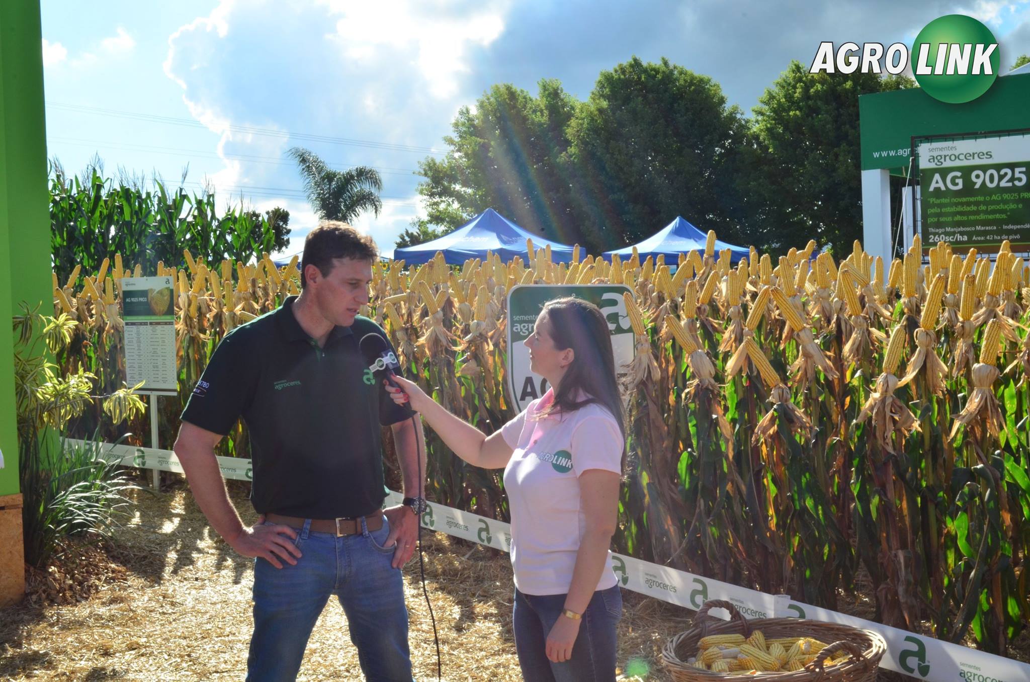 AGROLINK - O Portal do conteúdo Agropecuário. Confira: Noticias ...