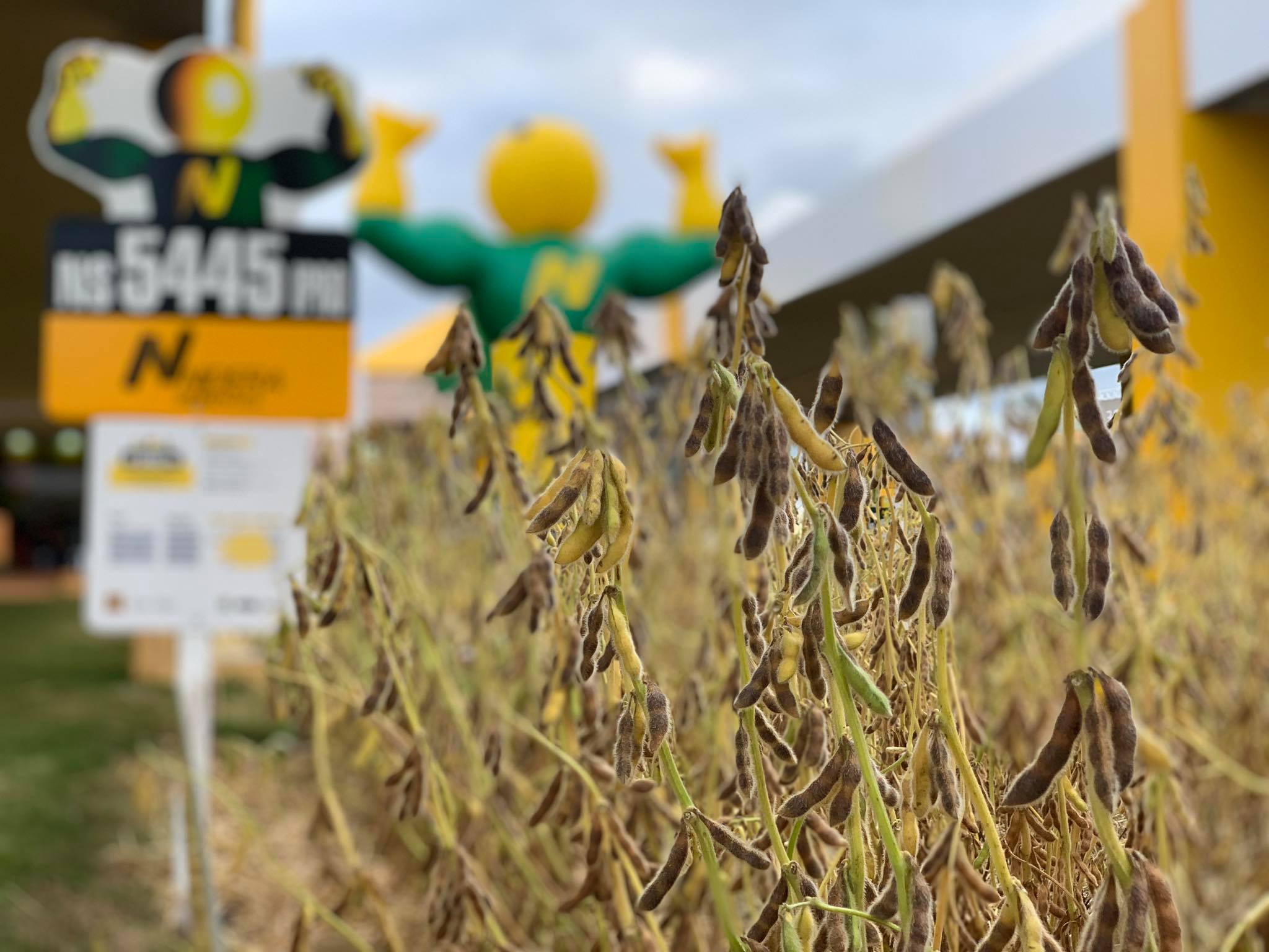 AGROLINK - O Portal do conteúdo Agropecuário. Confira: Noticias ...