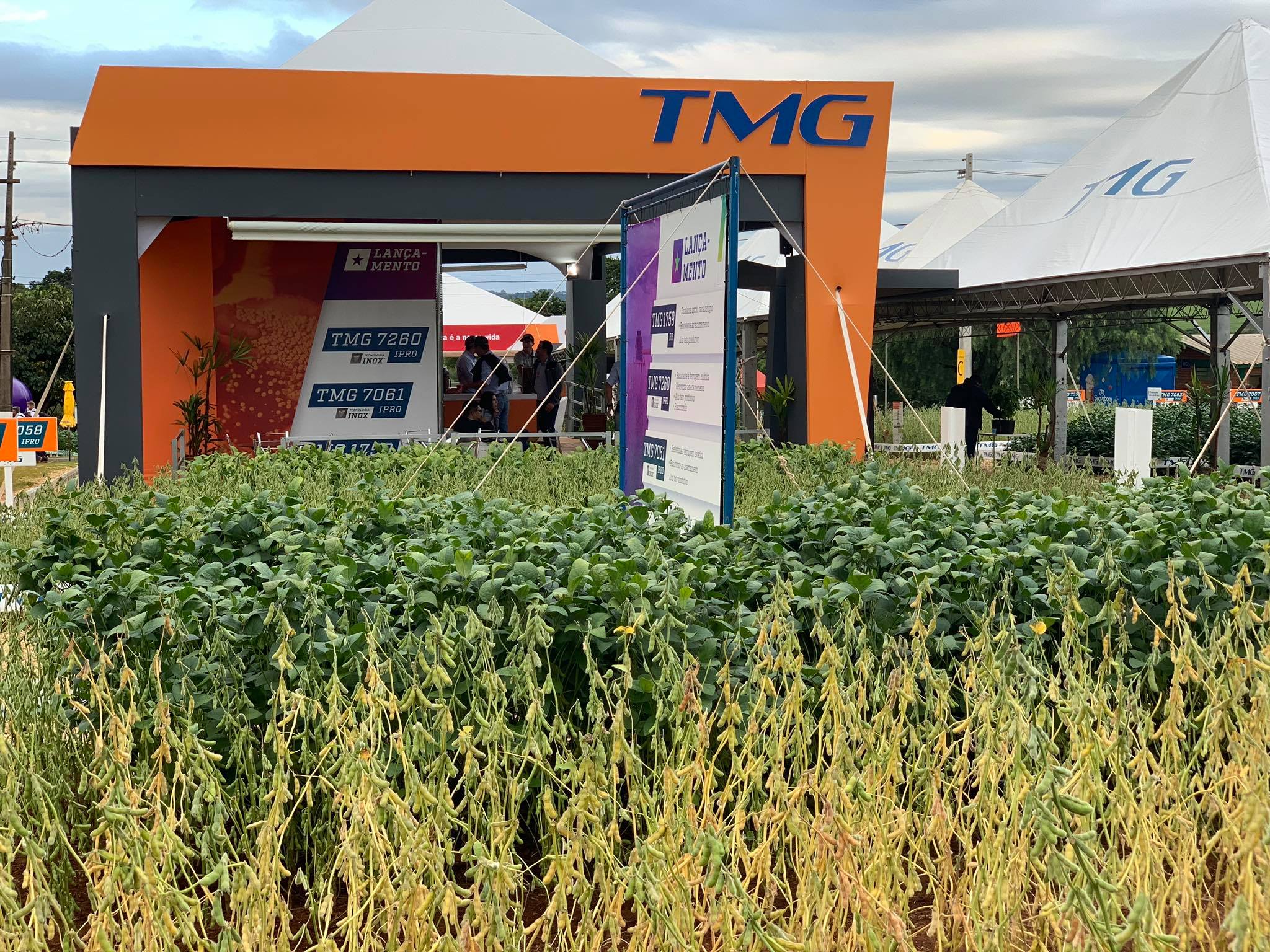 AGROLINK - O Portal do conteúdo Agropecuário. Confira: Noticias ...