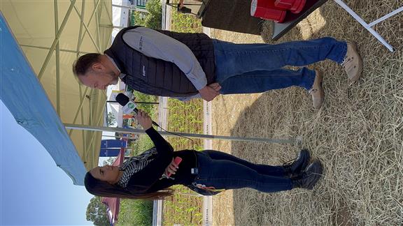 AGROLINK - O Portal do conteúdo Agropecuário. Confira: Noticias ...