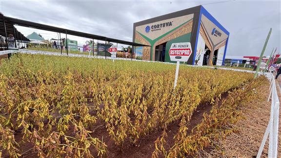 AGROLINK - O Portal do conteúdo Agropecuário. Confira: Noticias ...