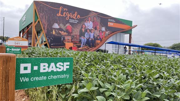 AGROLINK - O Portal do conteúdo Agropecuário. Confira: Noticias ...