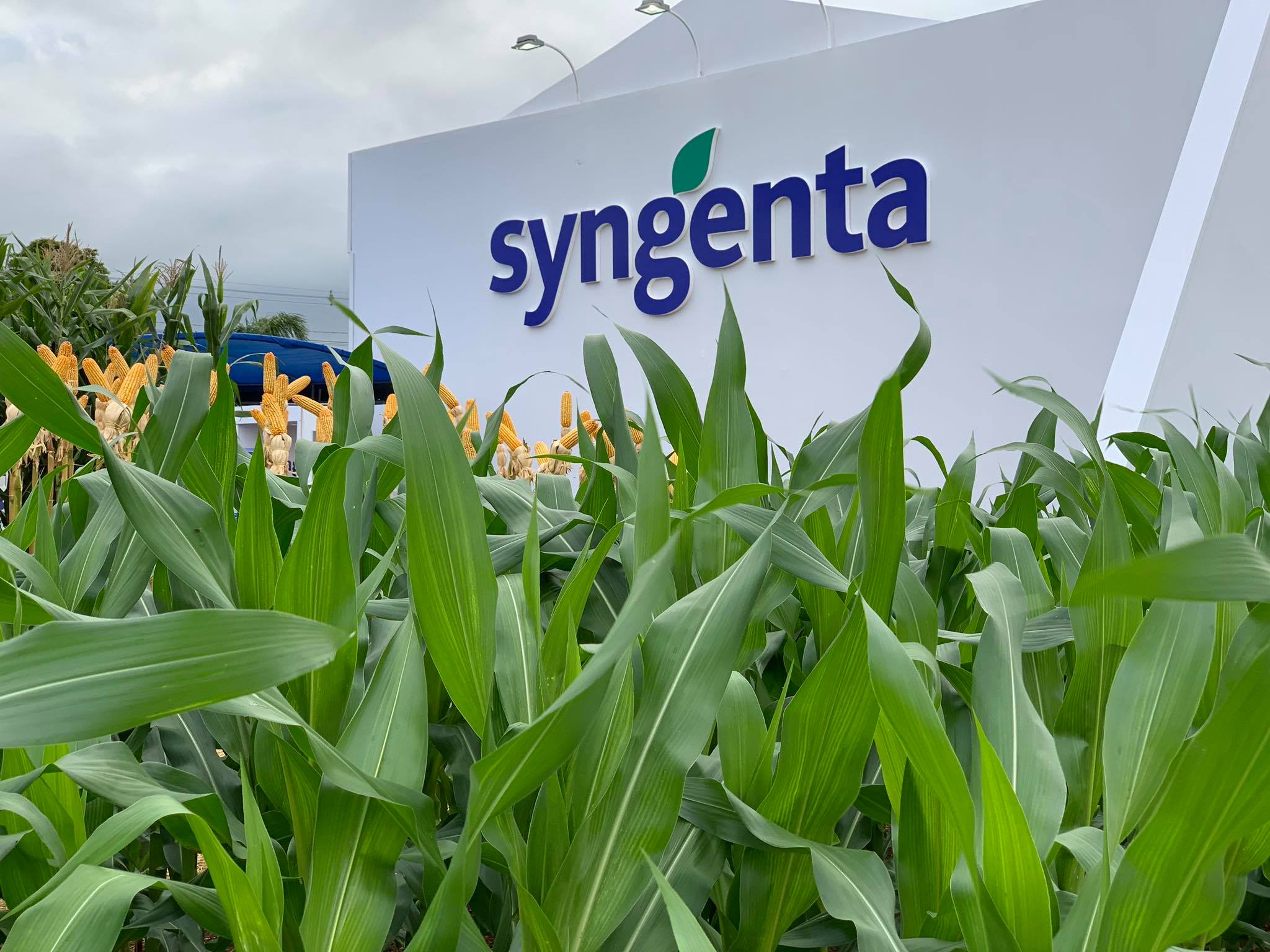 AGROLINK - Encontre o evento agropecuário que você tanto procura ...