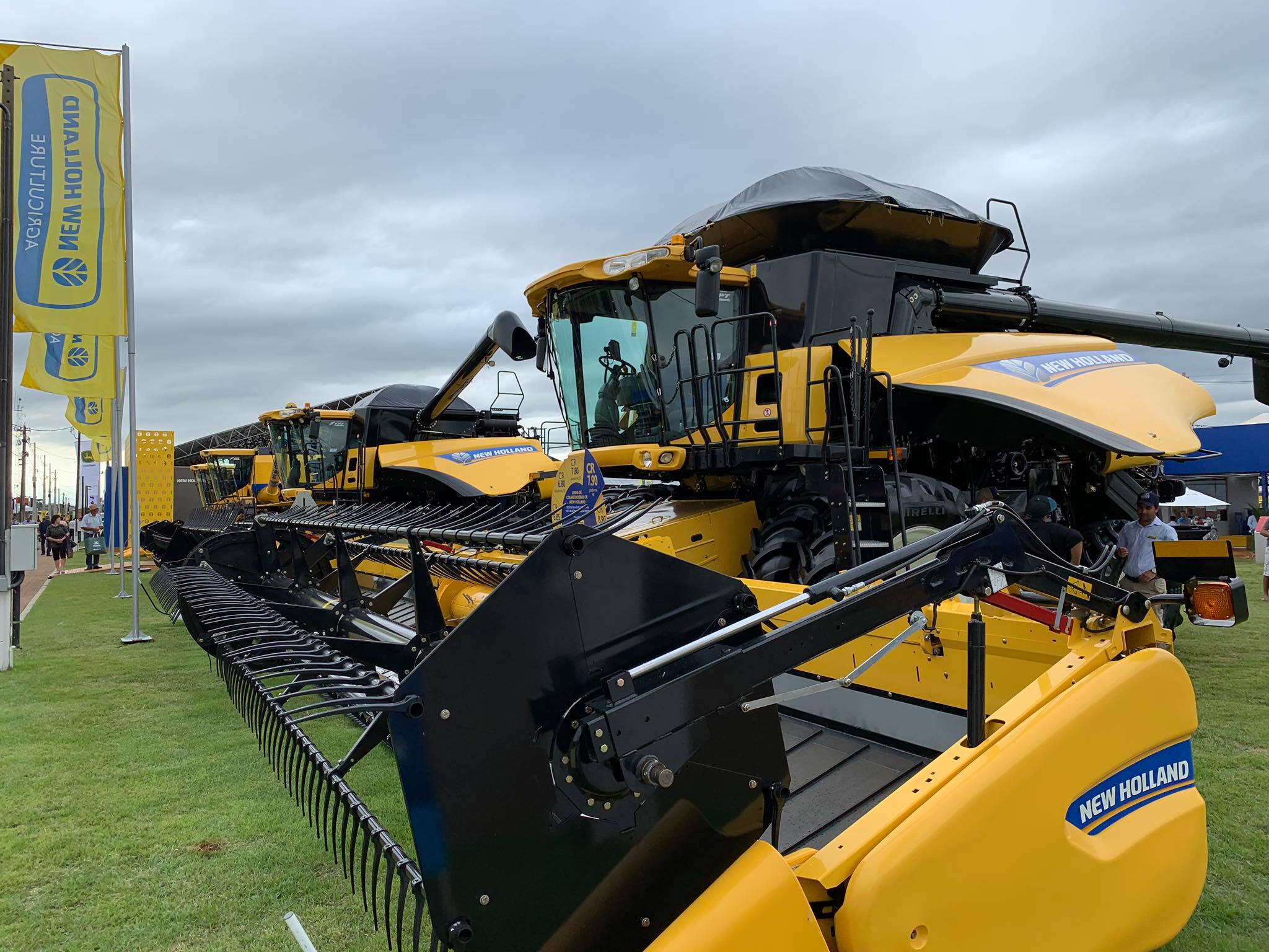 AGROLINK - O Portal do conteúdo Agropecuário. Confira: Noticias ...