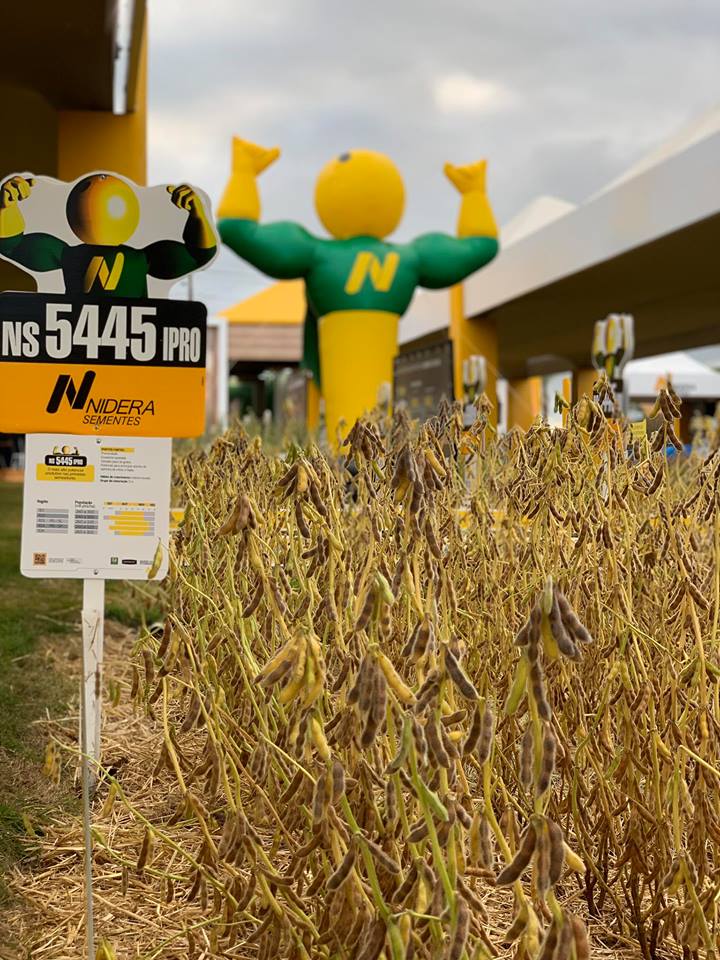 AGROLINK - O Portal do conteúdo Agropecuário. Confira: Noticias ...