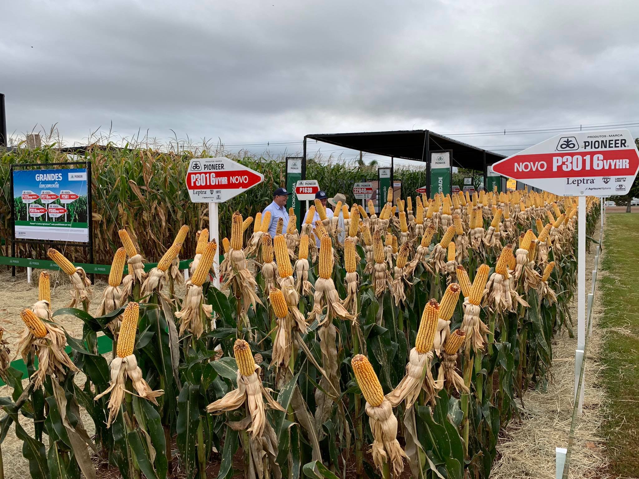 AGROLINK - O Portal do conteúdo Agropecuário. Confira: Noticias ...