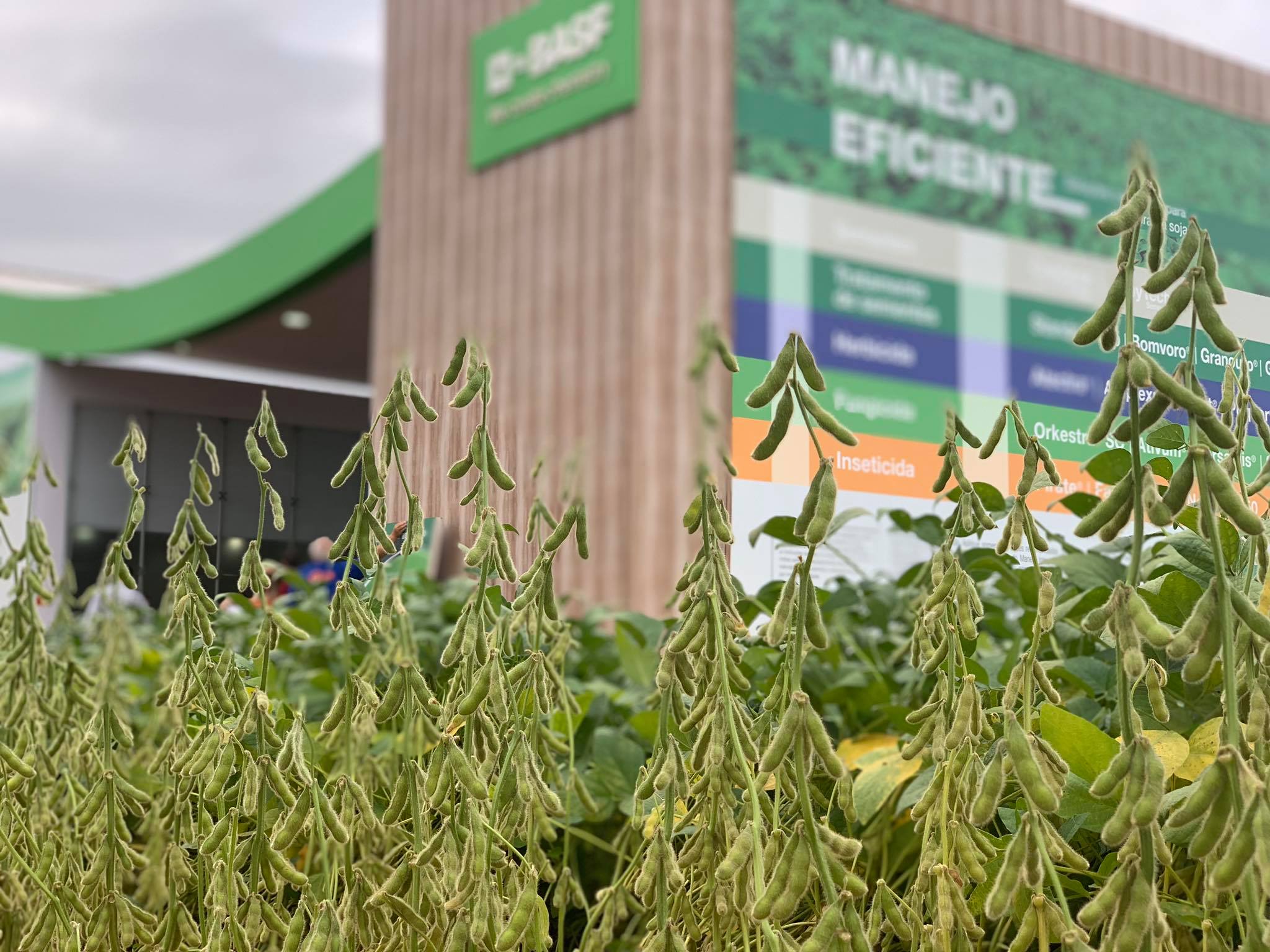 AGROLINK - O Portal do conteúdo Agropecuário. Confira: Noticias ...