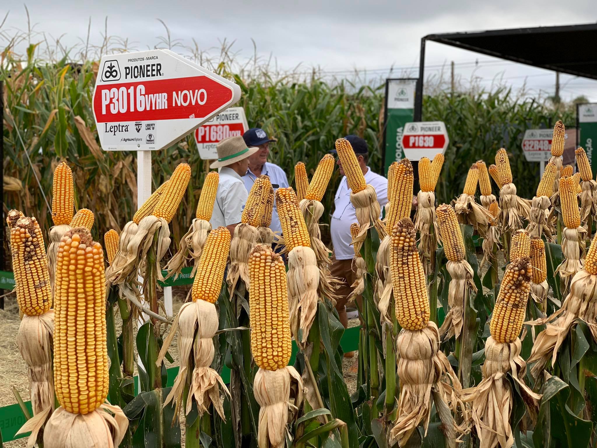 AGROLINK - O Portal do conteúdo Agropecuário. Confira: Noticias ...