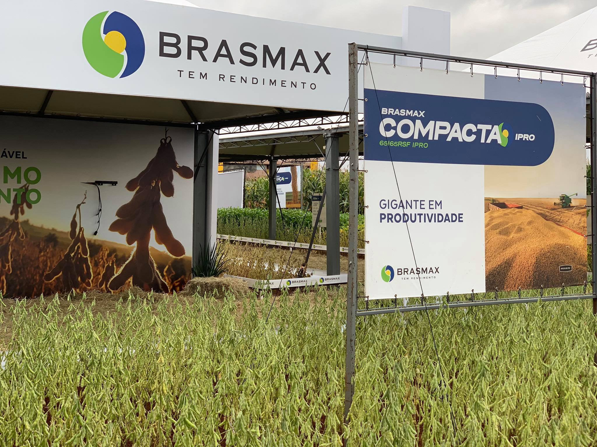 AGROLINK - O Portal do conteúdo Agropecuário. Confira: Noticias ...