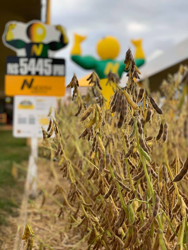 AGROLINK - O Portal do conteúdo Agropecuário. Confira: Noticias ...