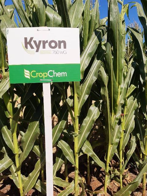 AGROLINK - O Portal do conteúdo Agropecuário. Confira: Noticias ...