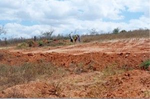 Solo - O que é, características, composição, tipos e análise