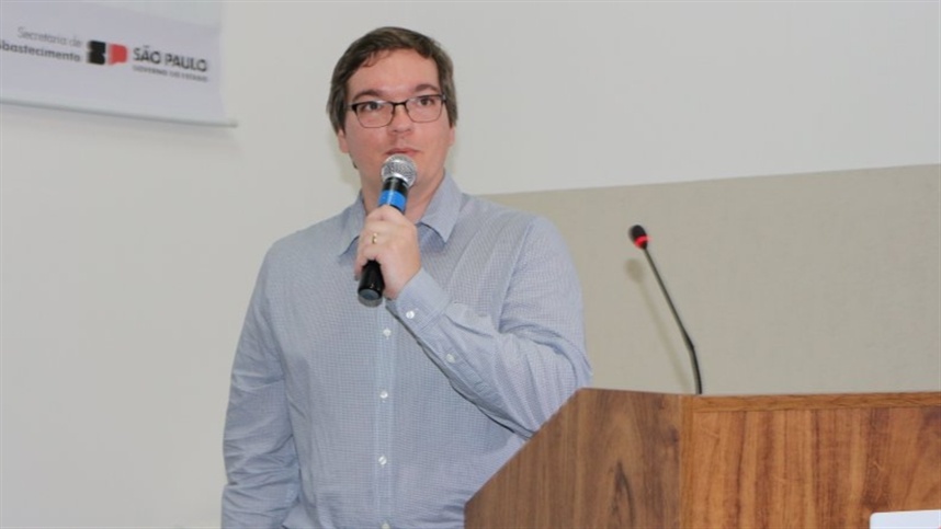 Pesquisa confirma resistência de psilídeos a piretroides e neonicotinoides