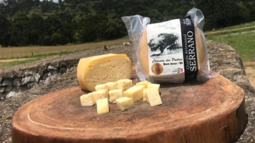 Queijo Artesanal Serrano ganha medalha de ouro em concurso internacional