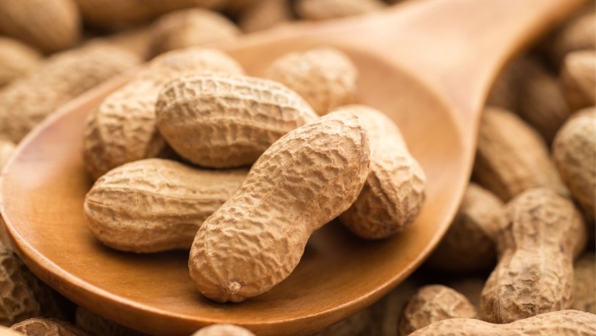 Comissão debate criação do Dia Nacional do Amendoim