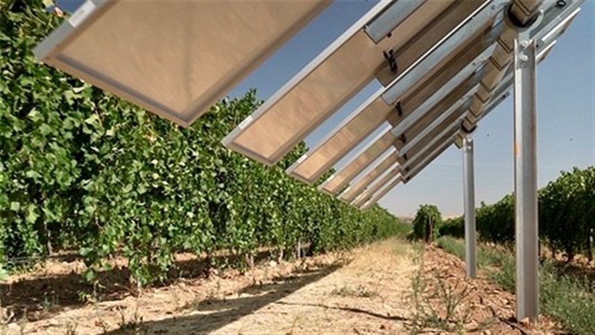 Agrovoltaica: agro e painéis solares